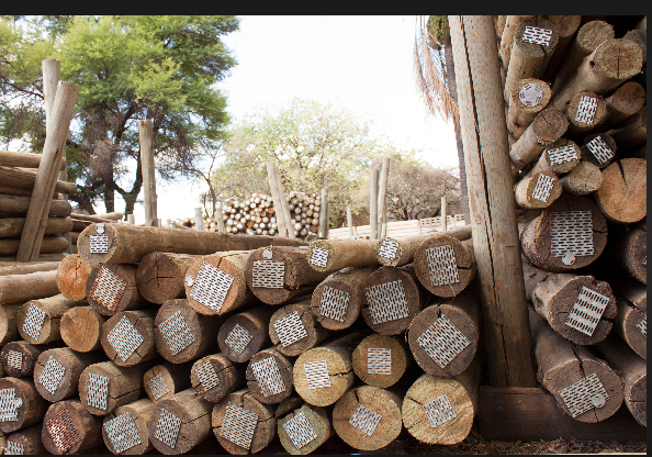 13.5mm Spikes Easy Press Timber Joining Plates Anti Split Plates Round ...